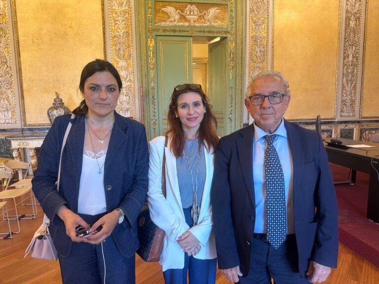 Privatizzazione SAC Catania e commissariamento CamCom, Marano, Campo e ...